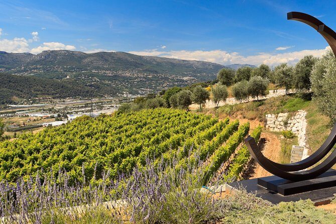 Full-day Wine Tour in Bellet & Saint-Paul de Vence from Nice - A Close Look at the Itinerary and Its Appeal