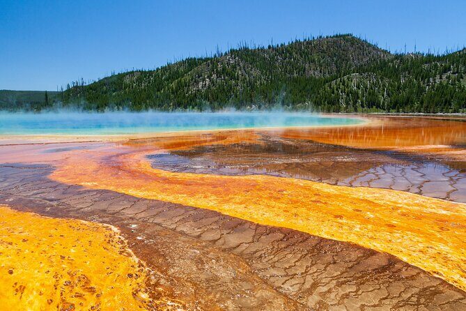 Full Day Yellowstone Nat'l Park Tour from Big Sky - Private Tour - FAQs