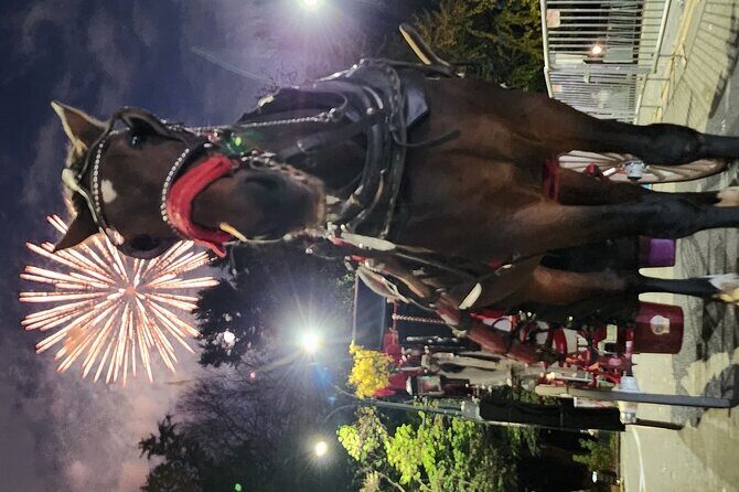 Full loop Private Horse Carriage Ride in Central Park 45 Minutes - Price and Value Considerations
