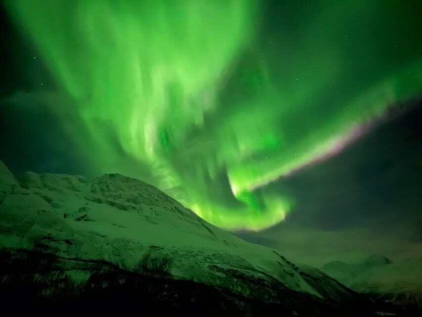 Full Night Magic of the Arctic Lights in Tromso - Who Should Consider This Tour?
