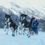 Fun & Easy Dog Sledding Adventure - Early Bird Tour - Who Should Consider This Tour?