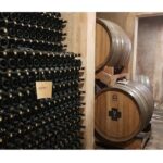 Gallipoli Full Day Private Tour: Coast, Beaches and Wineries - Detailed Breakdown of the Itinerary