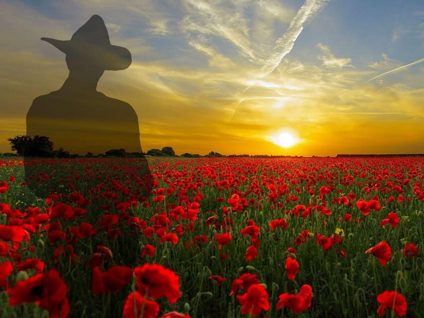 Gallipoli Full-Day Tour from Istanbul - Detailed Breakdown of the Itinerary