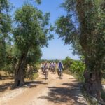 Gallipoli Inland and Surroundings Full-Day Bike Tour - What to Expect from the Experience