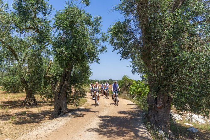 Gallipoli Inland and Surroundings Full-Day Bike Tour - What to Expect from the Experience
