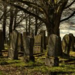 Galveston: Old City Cemetery Walking Tour with Local Guide - Value and Practical Considerations