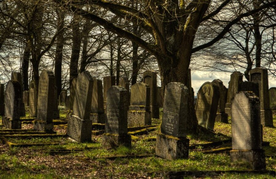 Galveston: Old City Cemetery Walking Tour with Local Guide - Value and Practical Considerations