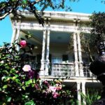 Garden District Walking Tour of New Orleans - What Travelers Say: Authentic Experiences and Practical Tips
