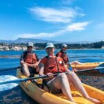 Gaviota Coast Kayak Tour Near Santa Barbara (3.5 Hours) - Who This Tour Is Best For