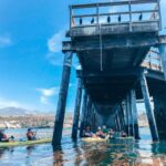 Gaviota Coast Near Santa Barbara: Kayak Tour (3.5 Hours) - Who Will Love This Tour?