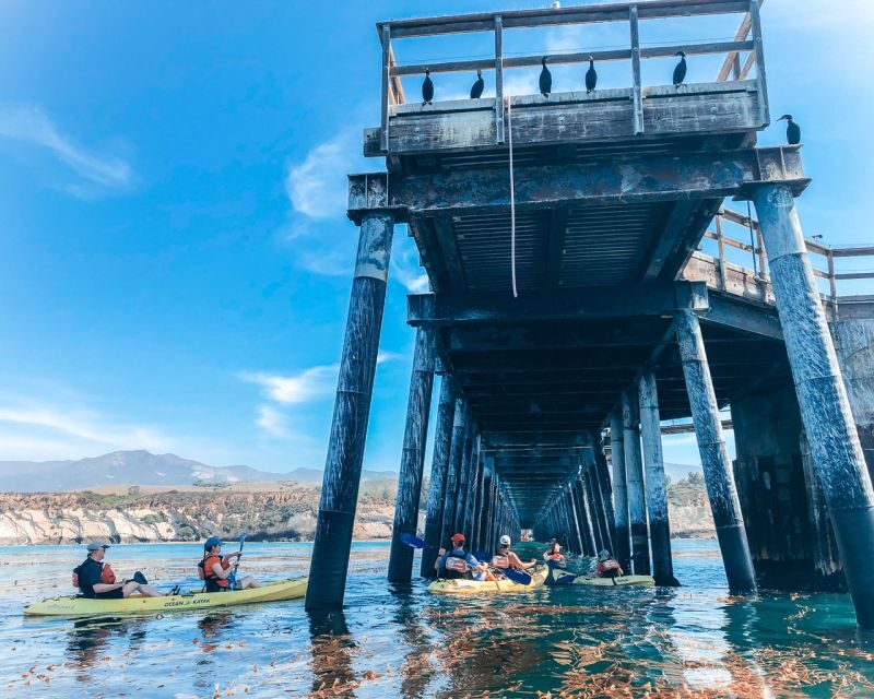 Gaviota Coast Near Santa Barbara: Kayak Tour (3.5 Hours) - Who Will Love This Tour?