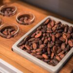 Geneva Chocolate tasting Tour in a Private TaxiBike - Who Should Consider This Tour?