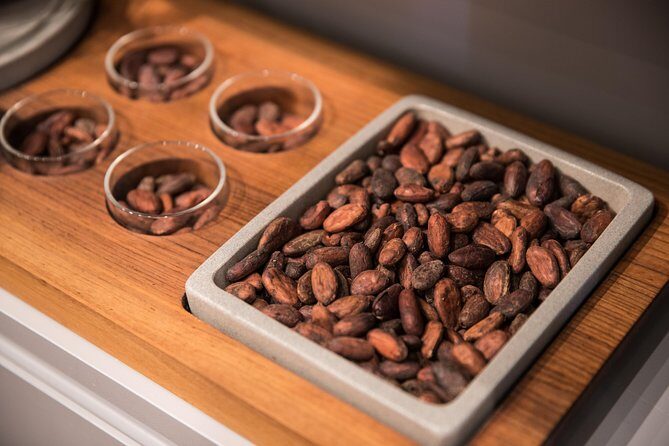 Geneva Chocolate tasting Tour in a Private TaxiBike - Who Should Consider This Tour?