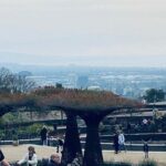 Getty Museum Private Tour - Exploring the Los Angeles Sights