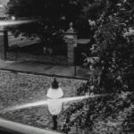 Ghost Tour - Charleston Dark History & Ghost Tour With Adam - Why This Tour Is Worth the Cost