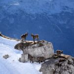 Ghost Town & Scenic Mountain Tour - Who Would Benefit Most?