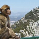 Gibraltar with St Michael Caves Guided Tour from Costa del Sol - Final Thoughts
