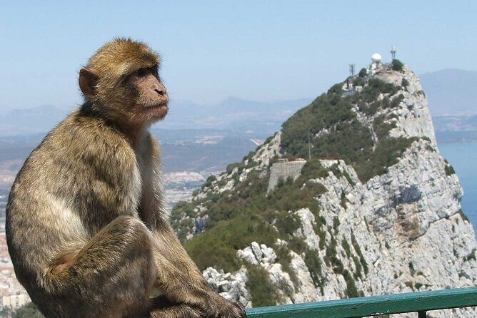 Gibraltar with St Michael Caves Guided Tour from Costa del Sol - Final Thoughts
