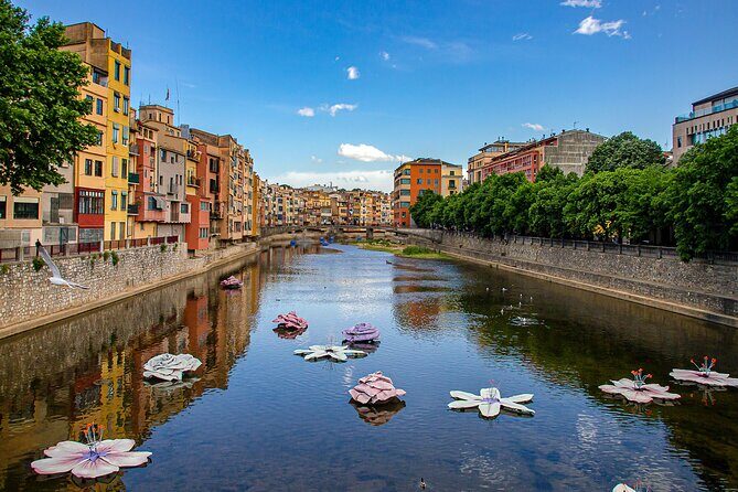 Girona, Figueres, Dalí and Cadaqués Museum from Barcelona - What Travelers Say: Authentic Perspectives