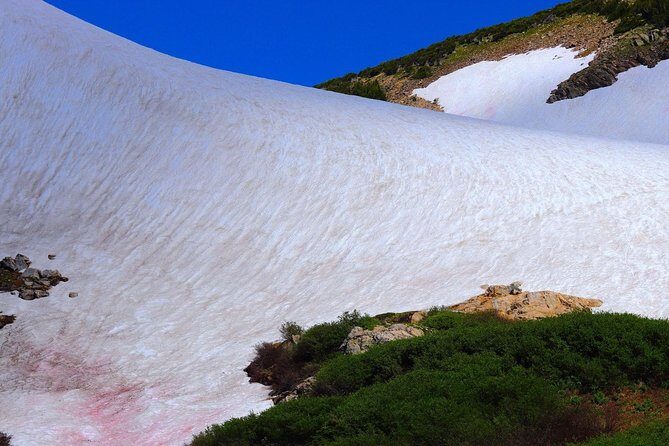 Glacier Hiking & Geothermal Cave Pools Tour - Who Should Book This Tour?