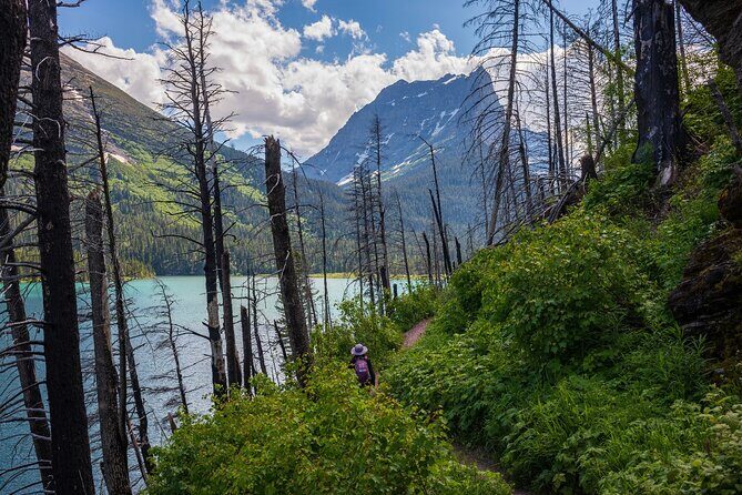 Glacier National Park Self-Guided Driving Audio Tour - The Real Experience: What It Means for You