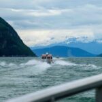 Glacier Point Wilderness Safari - Who Should Consider This Tour?