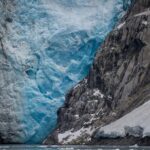 Glacier & Wildlife Discovery Tour - A Close-Up Look at Portage Glacier