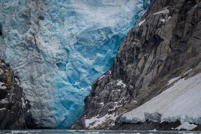 Glacier & Wildlife Discovery Tour - A Close-Up Look at Portage Glacier