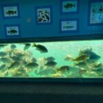 Glass Bottom Boat Ride in Redondo Beach - Why Choose This Experience?