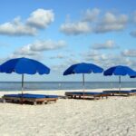 Glass Bottom Kayak Mangrove & Sandbar Adventure in St. Pete Beach - Exploring the Itinerary: What You Can Expect