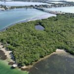 Glass Bottom Kayak Mangrove Tunnel & Sandbar Adventure Sarasota - Authentic Experiences and What Travelers Say