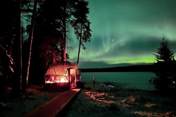 Glass Igloo Campfire Dinner under Northern Lights - The Overall Experience