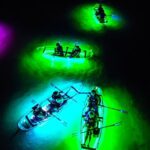 Glowing Kayak Tour - Kerrville - Detailed Itinerary and Experience Breakdown