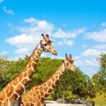 Go City: Miami Explorer Pass - Choose 2, 3, 4 or 5 Attractions - In-Depth Breakdown of the Top Attractions Included