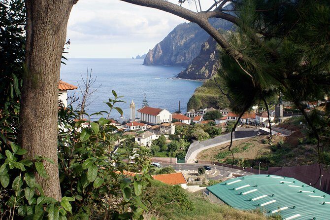 Go North Tour - Madeira Island Excursion - What the Tour Includes and Why It Matters