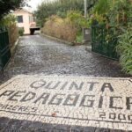 Go South Tour - Madeira Island Excursion - A Closer Look at the Itinerary