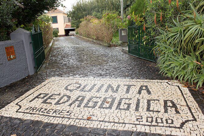 Go South Tour - Madeira Island Excursion - A Closer Look at the Itinerary
