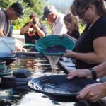 Gold Panning in Seward, Alaska - What You Keep and Find