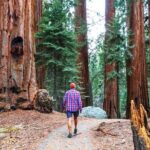 Golden Gate Bridge Bike Tour with Muir Woods & Sausalito Tour - The Itinerary in Detail