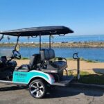 Golf Cart Rentals LSV in Carlsbad - The Experience: What to Expect?