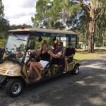 Golf Cart Tours of Bonaventure Cemetery Savannah Georgia - Detailed Breakdown of the Experience