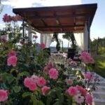 Gorika Brda: Wine Tasting with Local Snacks - Key Points