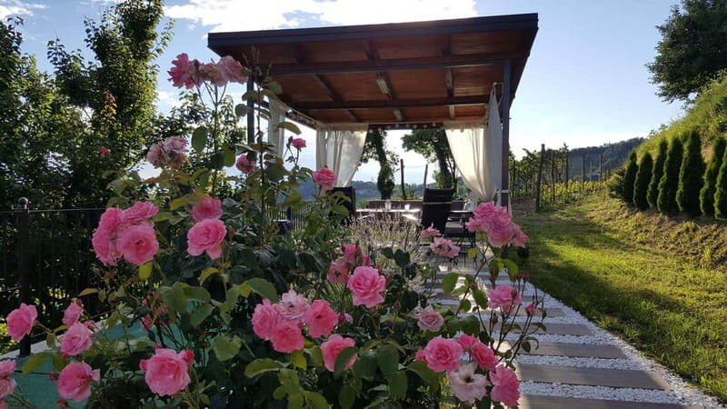 Gorika Brda: Wine Tasting with Local Snacks - Key Points