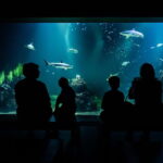 Gothenburg: Universeum Entry Ticket - Who Will Love Universeum?