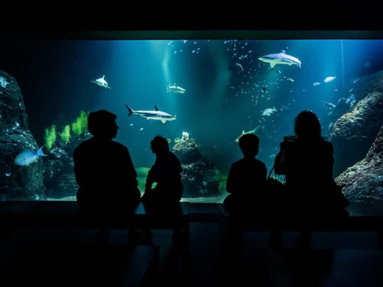 Gothenburg: Universeum Entry Ticket - Who Will Love Universeum?