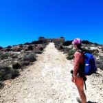 Gozo Unveiled: Guided Hiking in Comino Island - Practical Details & Value