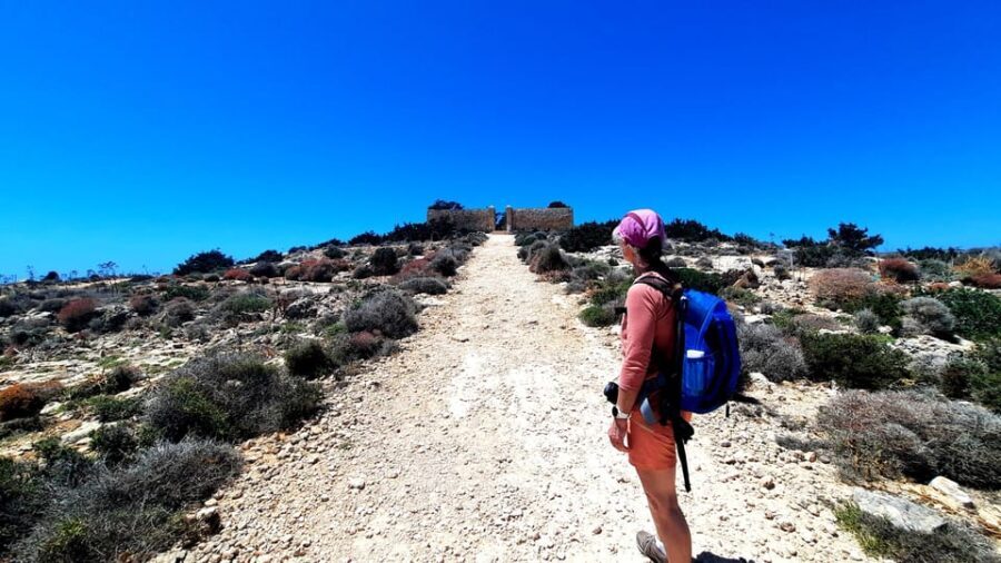 Gozo Unveiled: Guided Hiking in Comino Island - Practical Details & Value