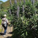 Gran Canaria private walks - What You Can Expect from the Experience