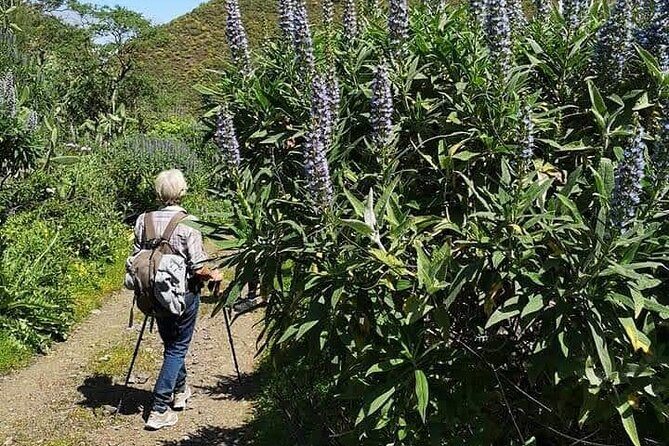 Gran Canaria private walks - What You Can Expect from the Experience