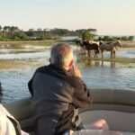 Grand Boat Tour around Chincoteague and Assateague Islands - The Experience in Detail: From Start to Finish
